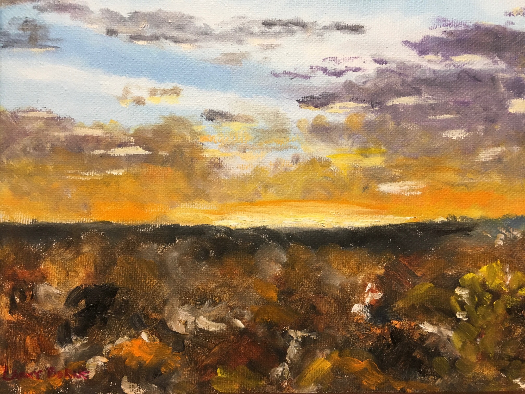 Mason County, Texas Sunset - Larry Borne